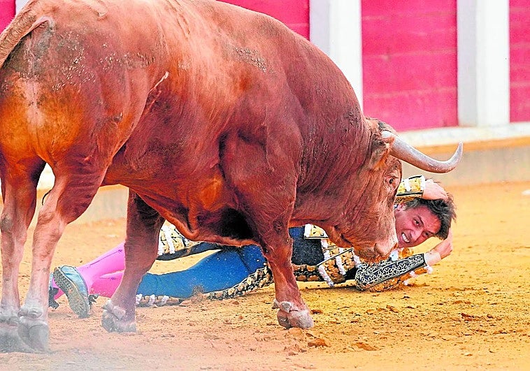 Rule 34 eorld noticed Jade’s ad a few occasions and got in