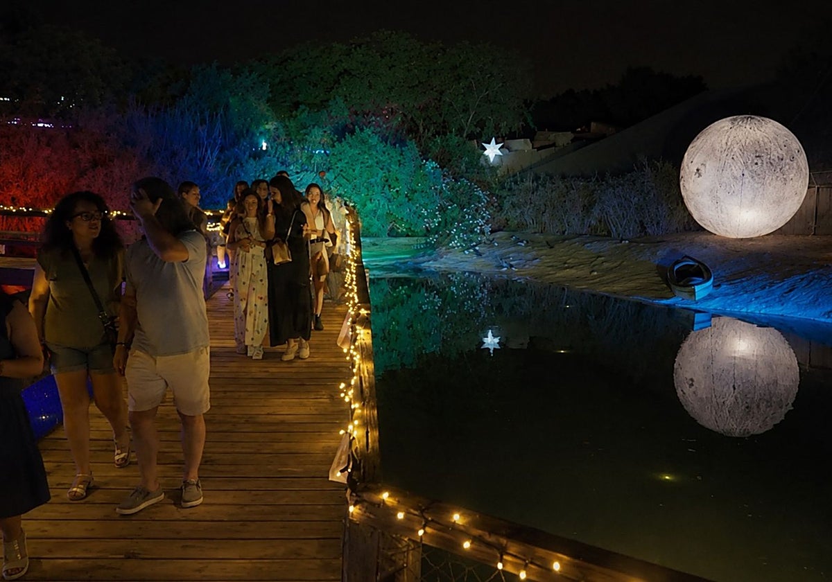 Noche de Luces 2026: una velada mágica entre naturaleza, música y ...