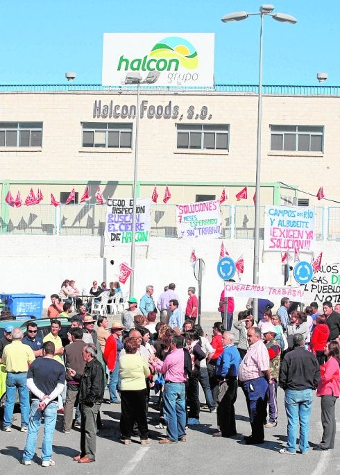 Halcón Foods no levantará el vuelo | La Verdad