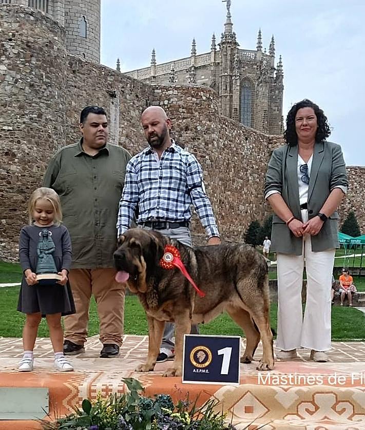 Astorga se convierte en escenario nacional de razas españolas ...