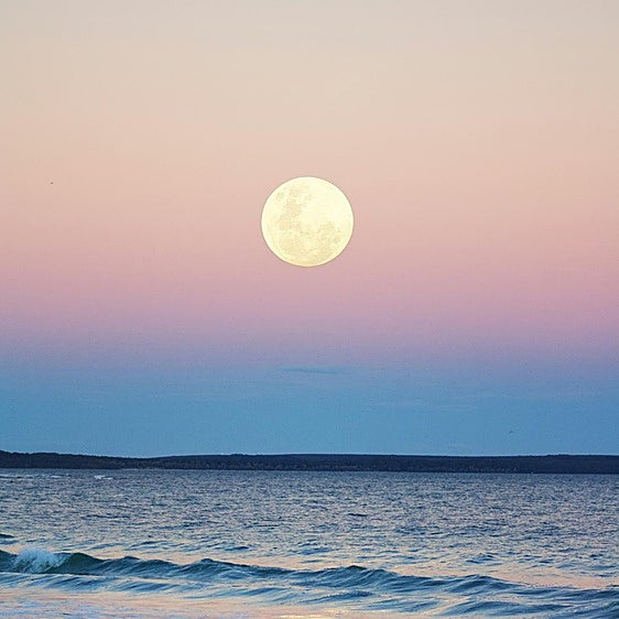 Así afecta la Luna Llena del 11 de junio a cada signo del zodiaco ...