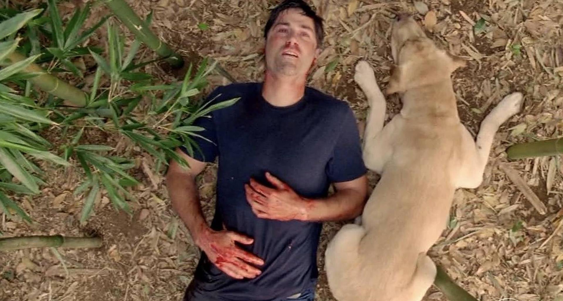 Muerte Logan Roy Succession HBO | Cómo y cuándo matar al protagonista ...