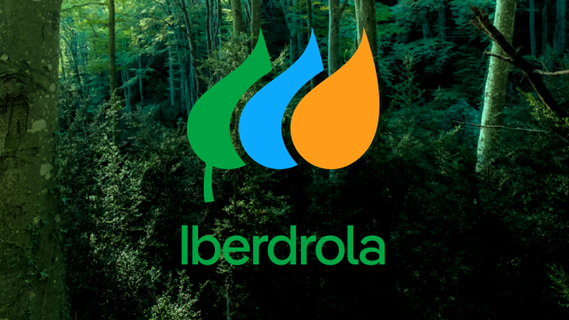 Iberdrola rediseña su logo para hacerlo más sostenible | El Correo