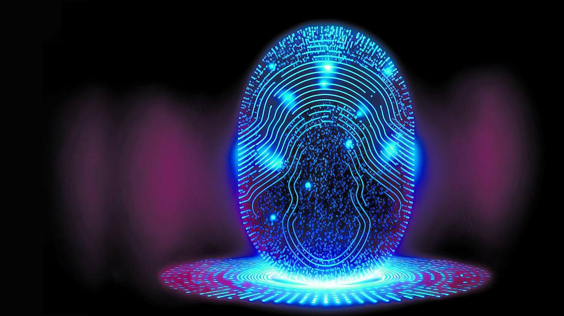 ¿Sabes qué es tu 'huella digital'? Así puedes reducirla al navegar por internet | El Diario Vasco