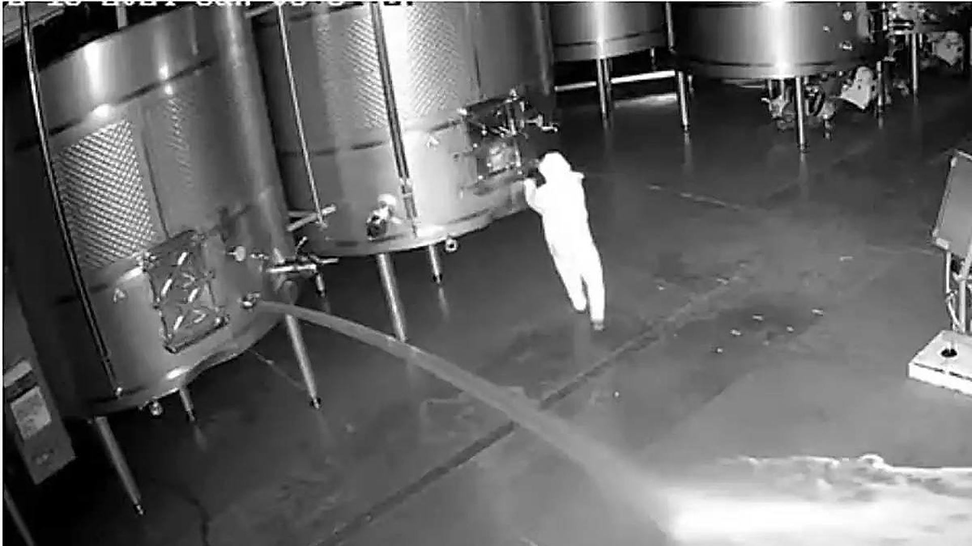 Una mujer que conoce bien el recinto, perfil de la persona que saboteó ...