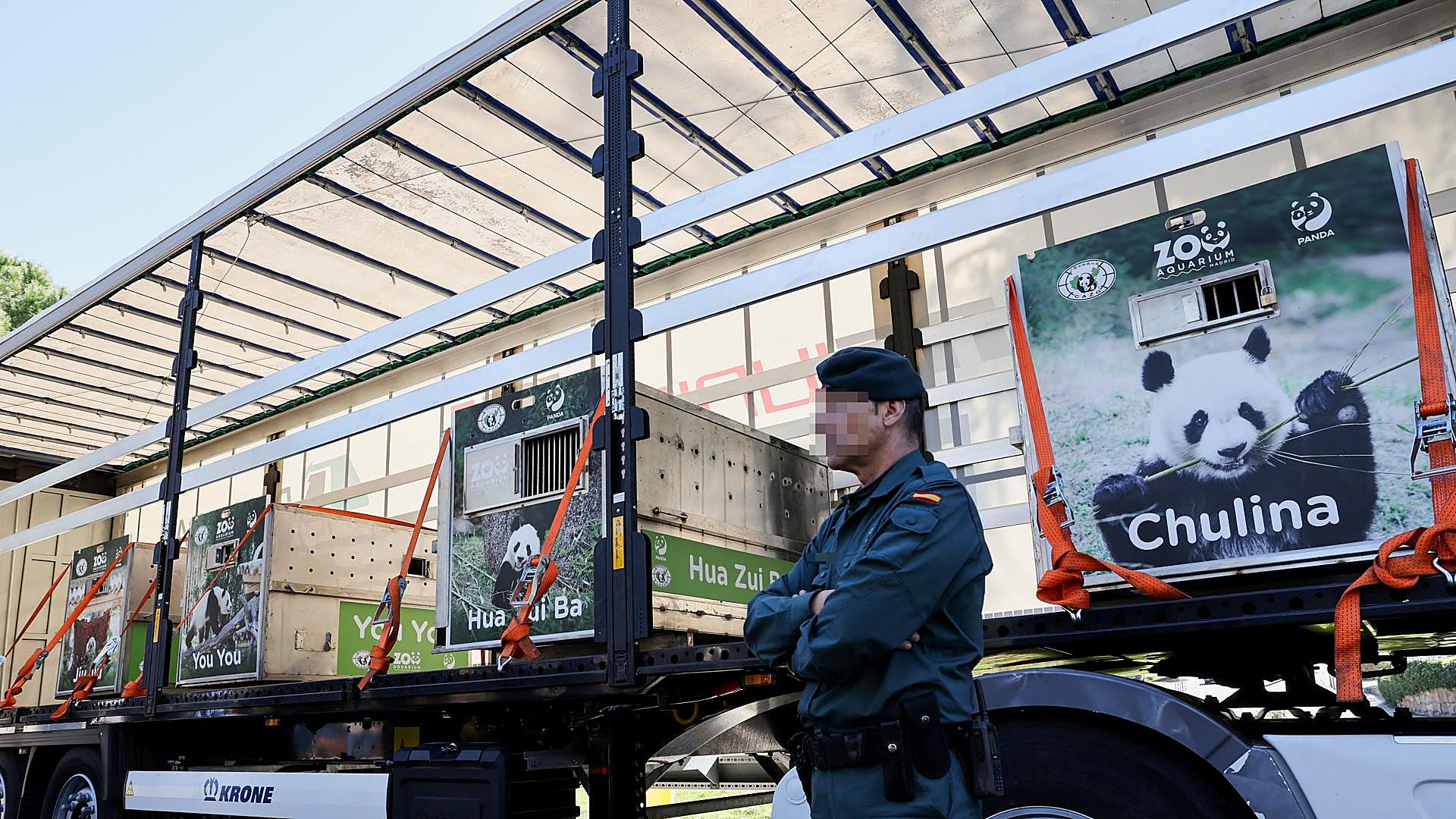 Los pandas del zoo de Madrid vuelven a casa | El Correo