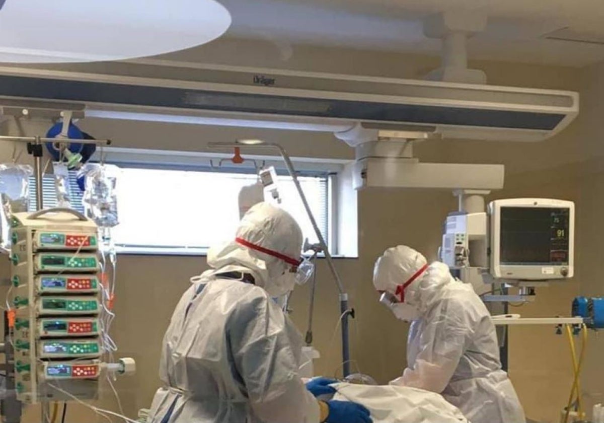 Los médicos rinden homenaje al personal sanitario de la covid | El Correo