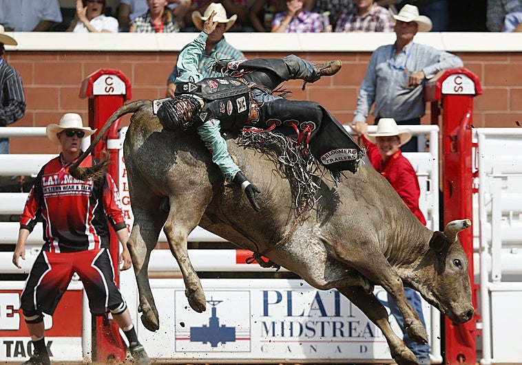 El rodeo de toros, un deporte de alto riesgo que cuesta la vida a un ...