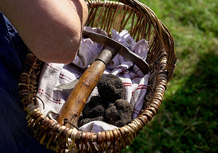 Périgord negro: un viaje a la prehistoria con sabor a trufa | El Correo