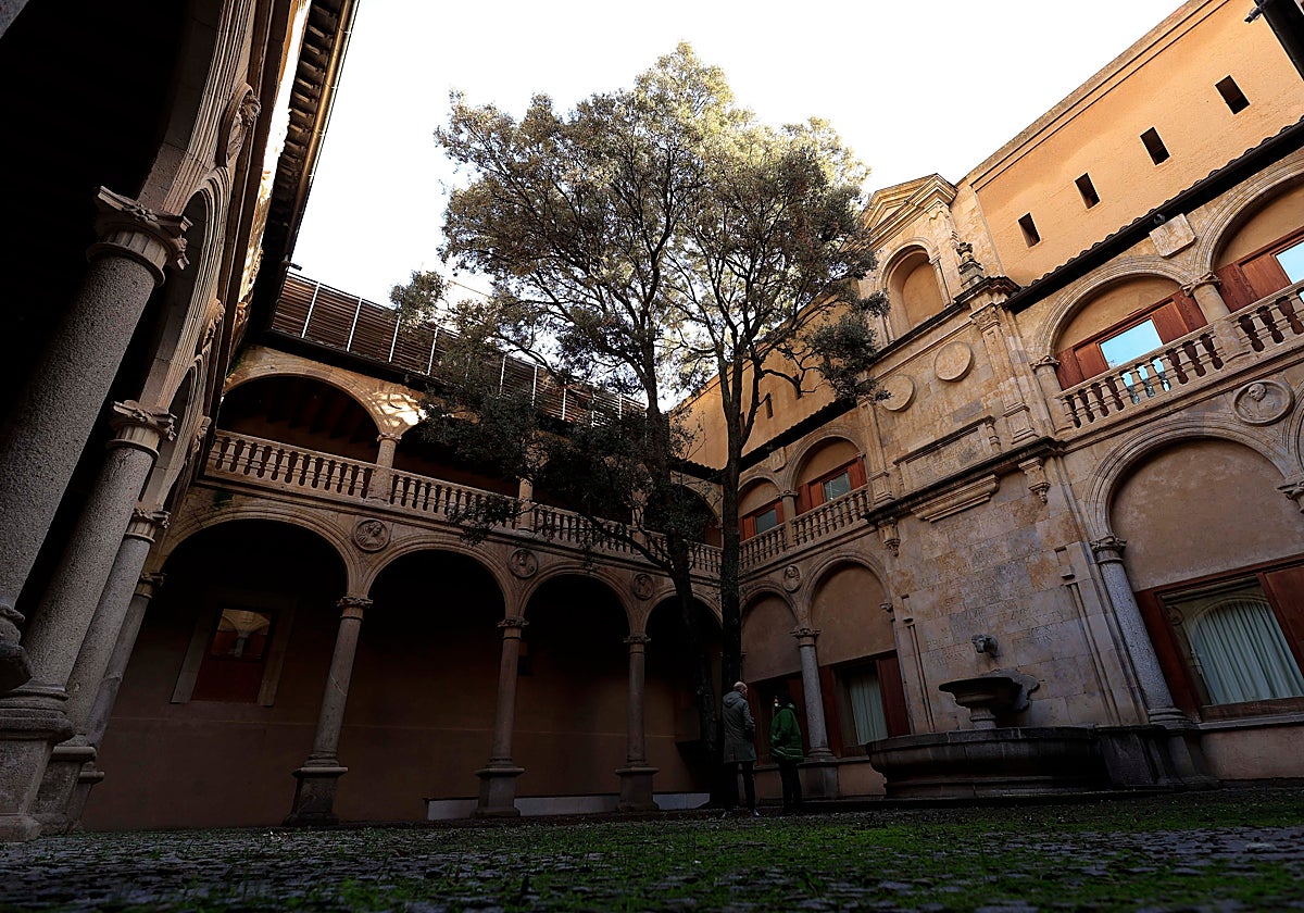 Salamanca: la encina que convierte en zen el patio renacentista de San ...