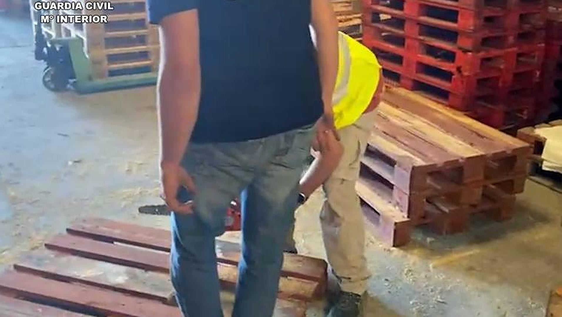Over one hundred people arrested in contaminated wooden pallet raids ...