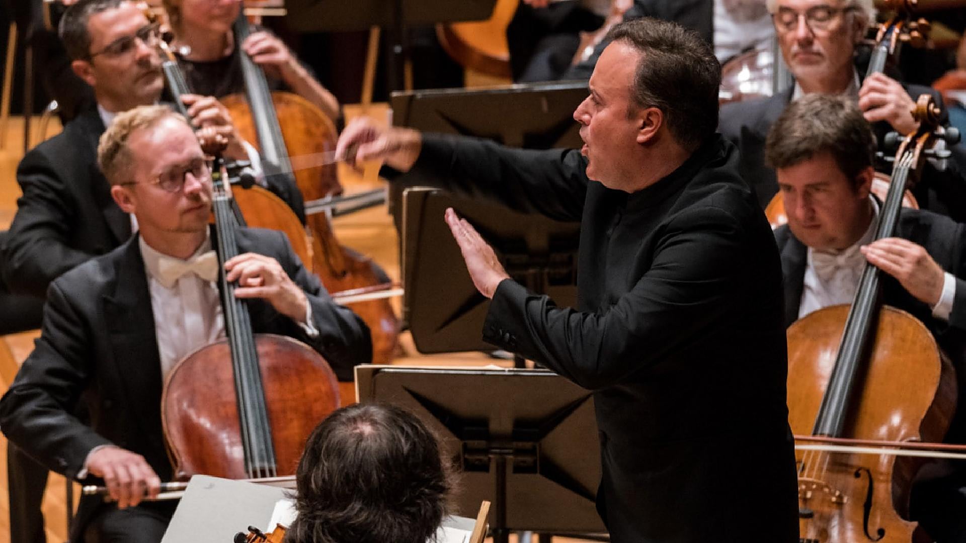 World class conductor Karel Mark Chichon OBE leads autumn concert | Sur in English