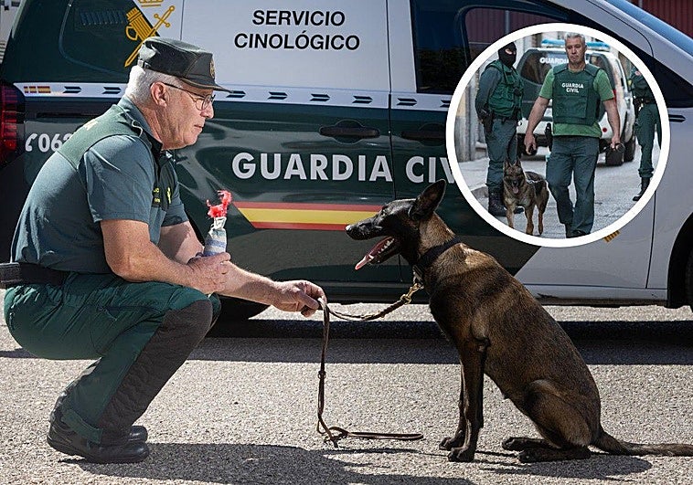 Police dog handler's emotional retirement after 45 years with the ...