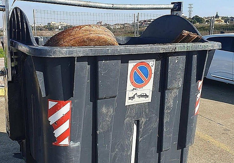 Used coffin found in bin behind Spanish cemetery | Sur in English