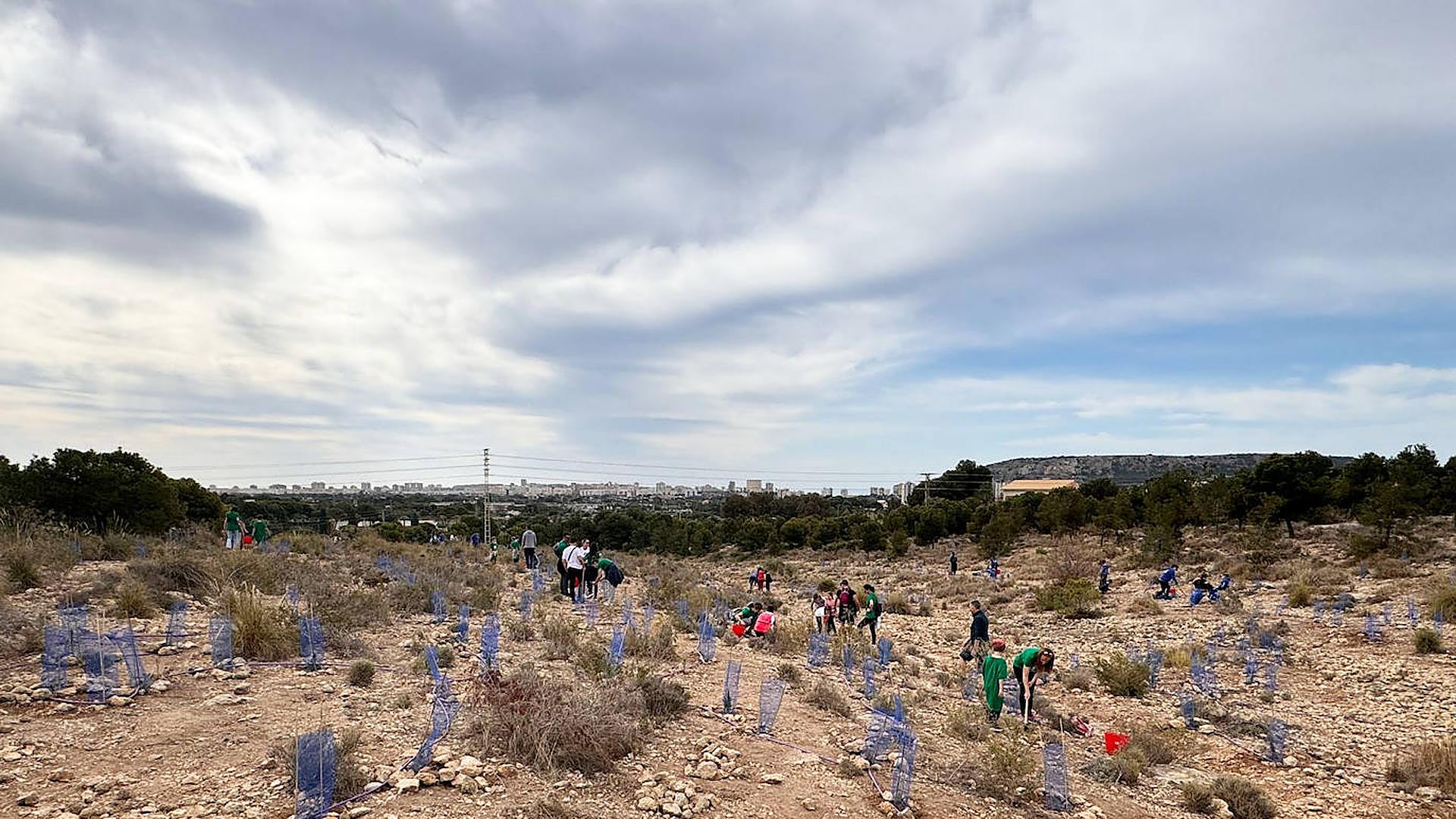 Zonas verdes de Alicante | El nuevo manto verde del monte Orgegia de ...