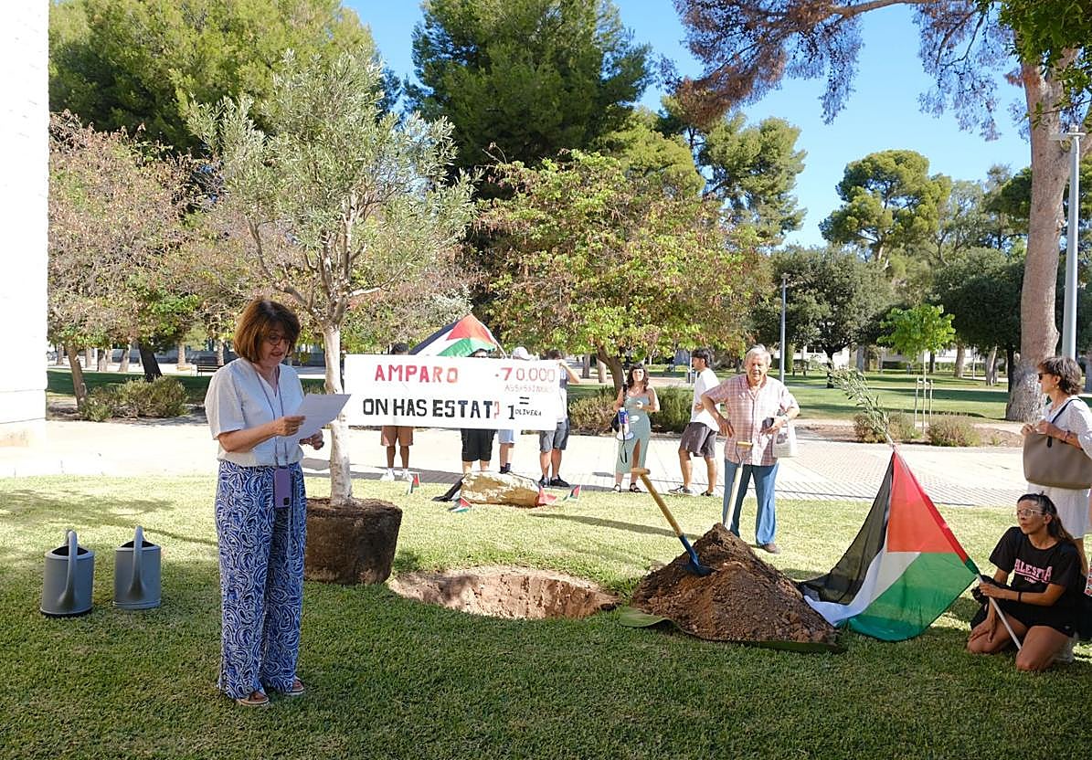 The University of Alicante Plants an Olive Tree in Solidarity with ...
