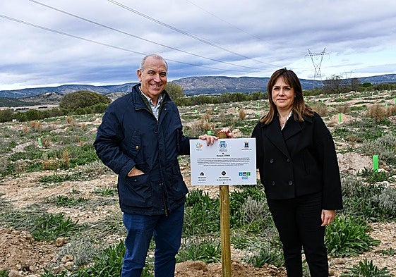 COMA Plants 400 Trees to Offset CO2 Emissions | TodoAlicante