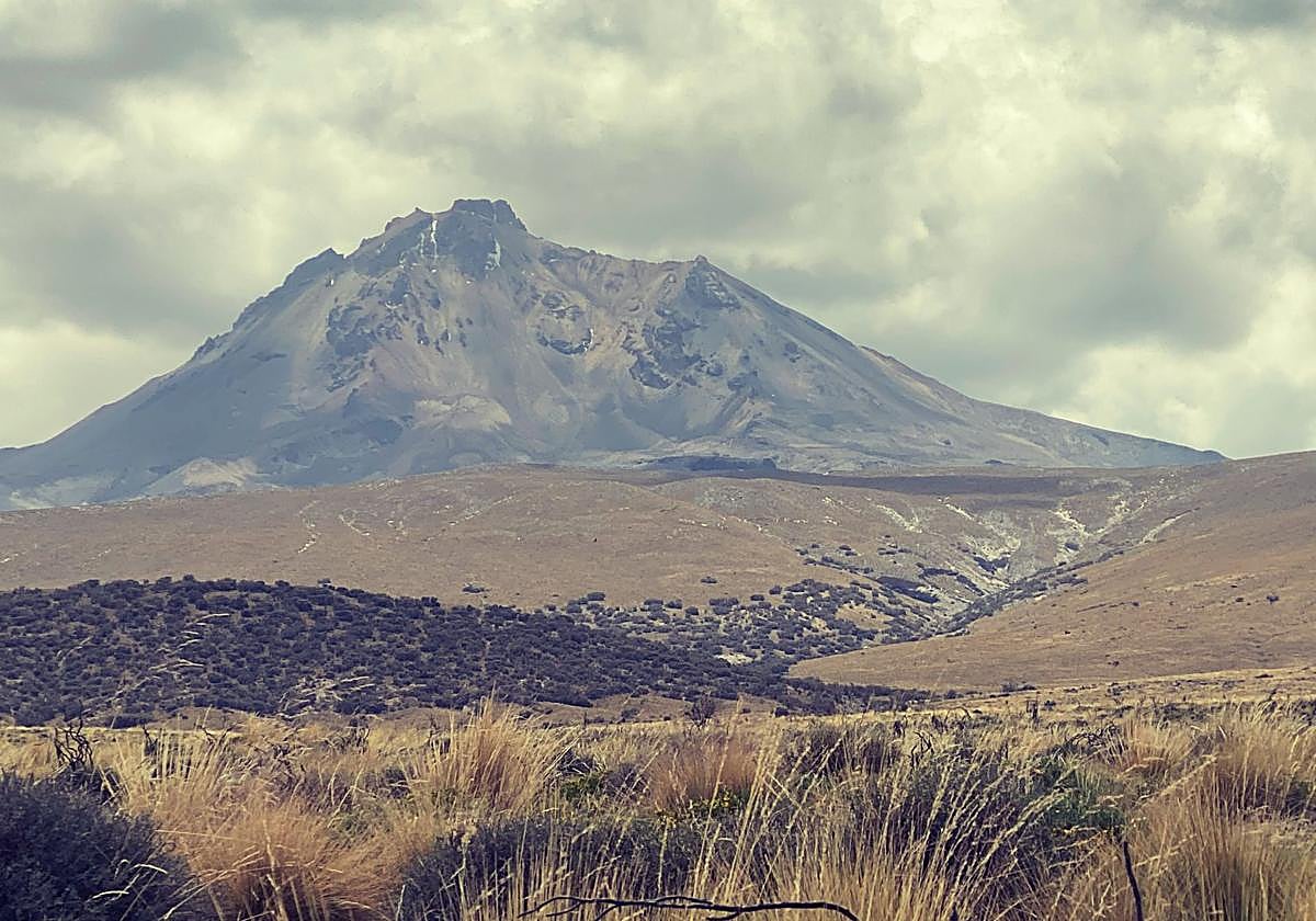 Peru turns to UMH to investigate the impact of fire on Andean soils ...