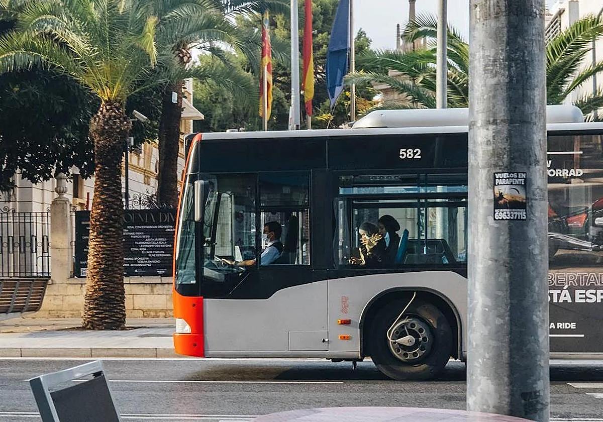 The Bus Line Dominating Alicante with Over Five Million Passengers in ...