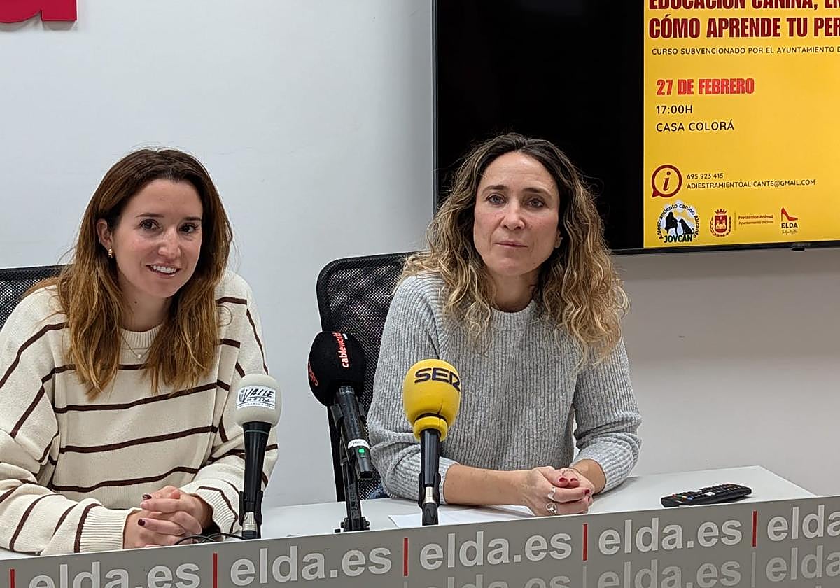 Alicante Municipality Launches Canine Advisory Programme to Enhance ...