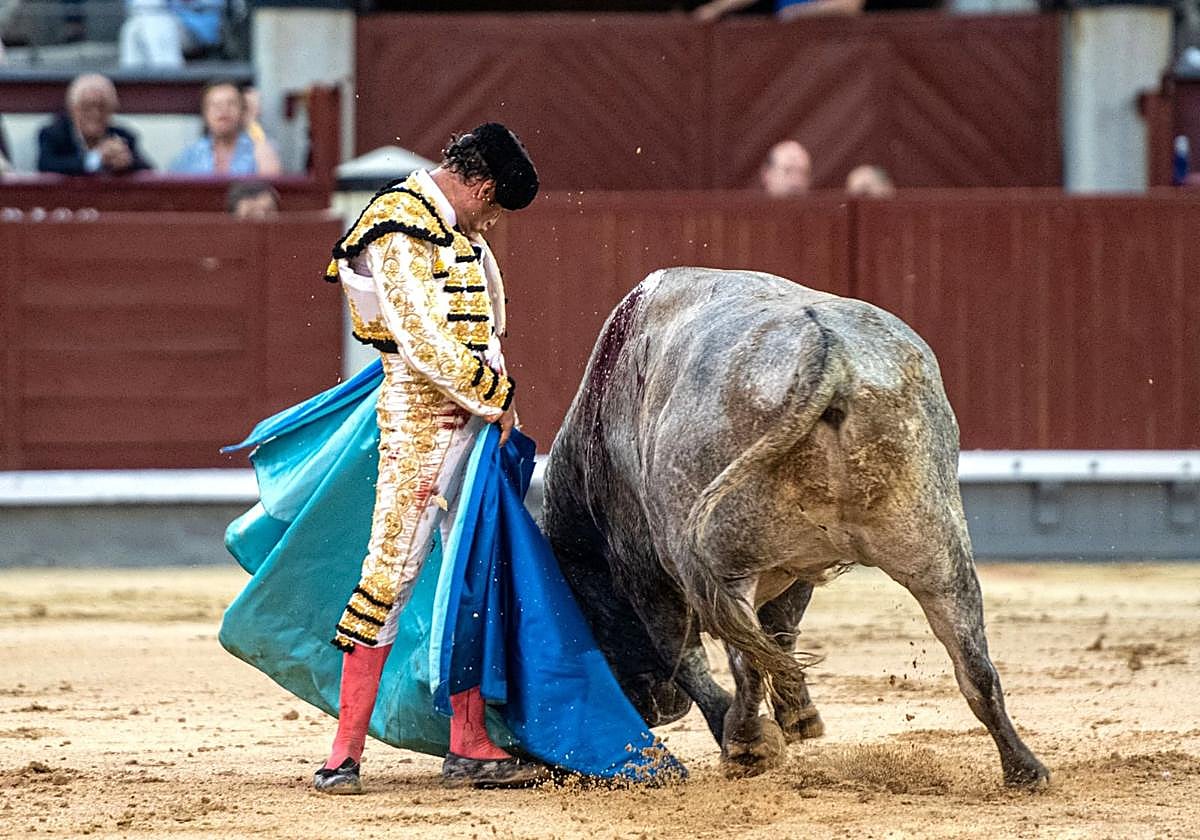 Fin de semana de rejones y la espectacularidad de los toros de Adolfo ...