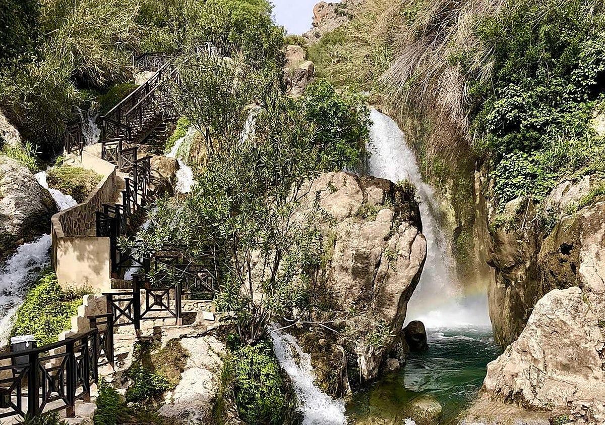 The Natural Oasis of Alicante Opens Its Doors to Summer with Enhanced ...