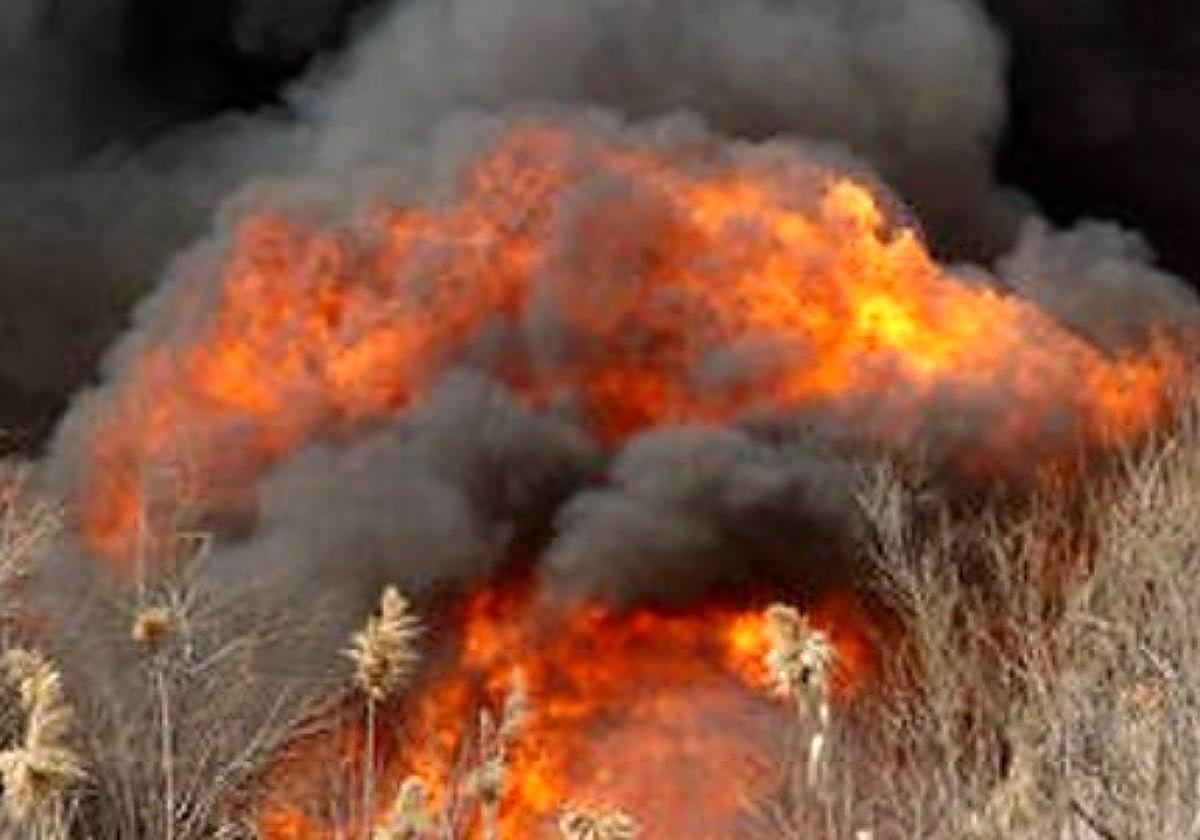 Elda bans agricultural burning until October 15 | TodoAlicante